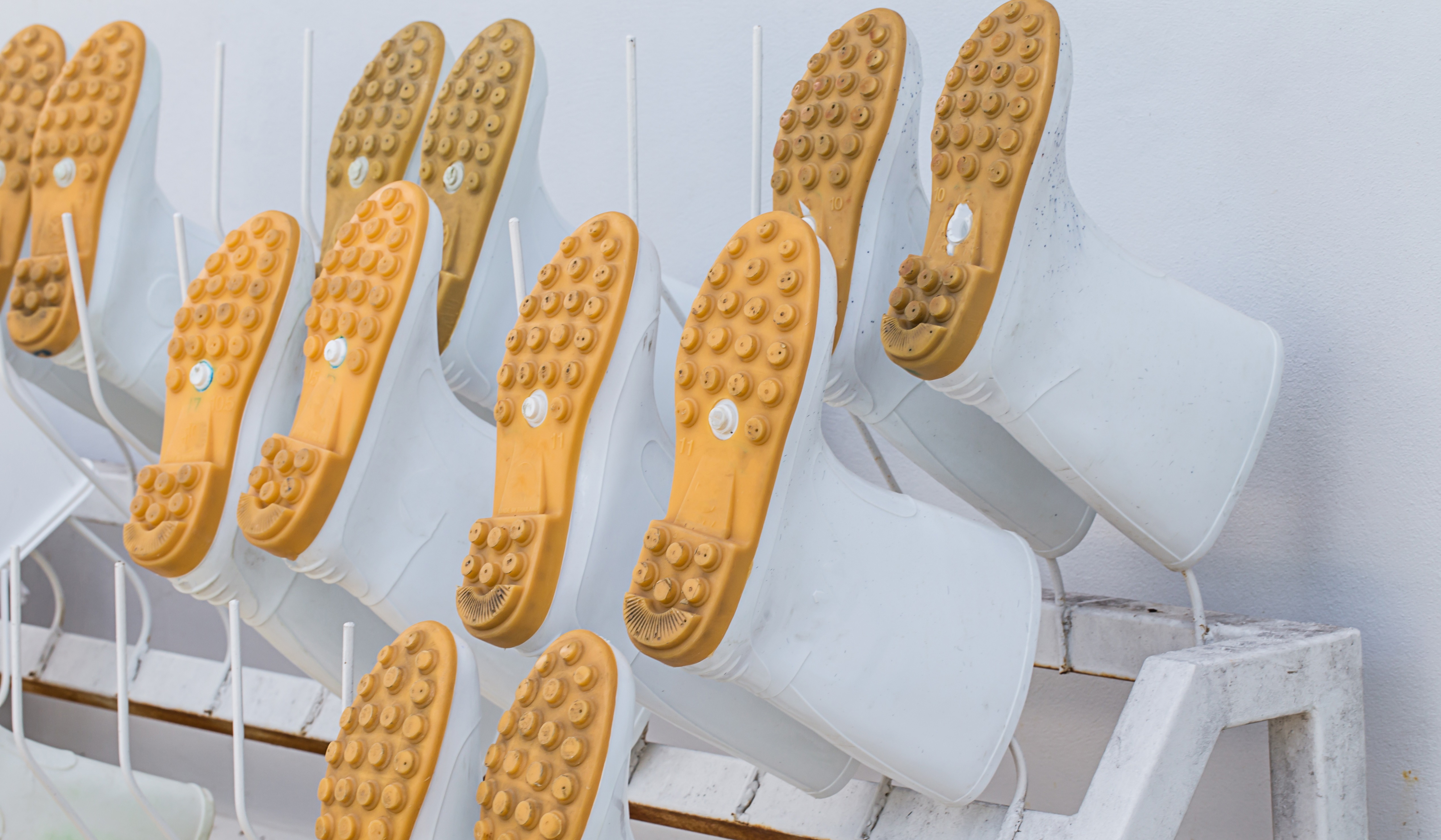 Captive Footwear Programs 101